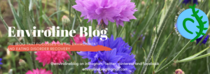 How to create a self-harm distractions box - Enviroline Blog