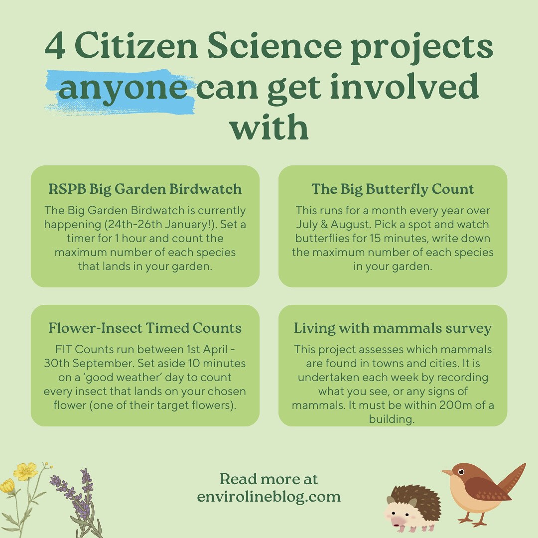 UK seasonal fruit and vegetables in winter - Enviroline Blog