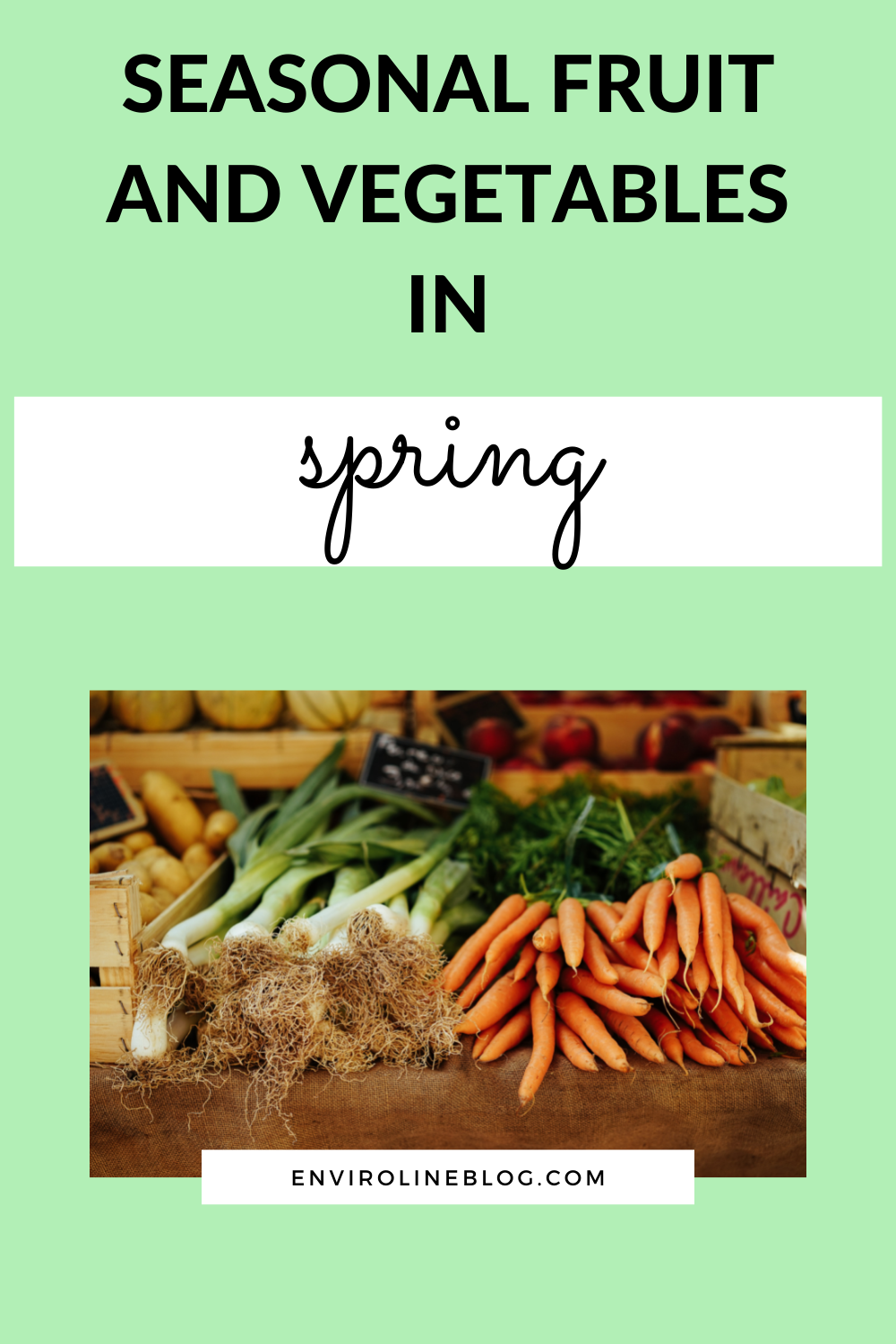 UK Seasonal fruit and vegetables in spring - Enviroline Blog