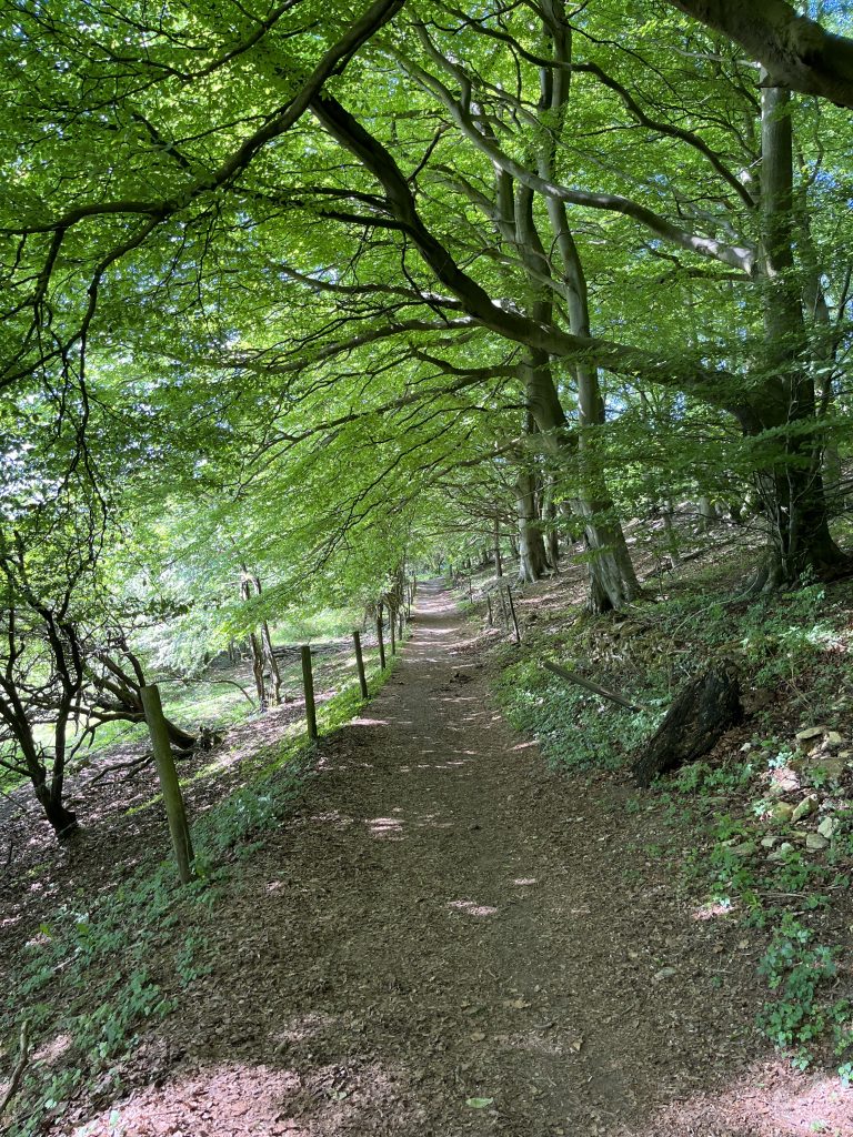 The ultimate list of things to do in Cheltenham - Enviroline Blog